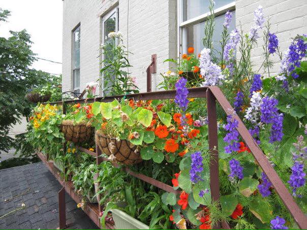 Balcony and Patio Garden Ideas - Create Your Special Place - GardensAll